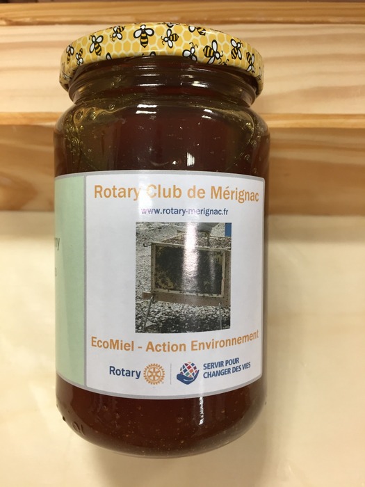 ECOMIEL 2021 :: Rotary-club-de-merignac